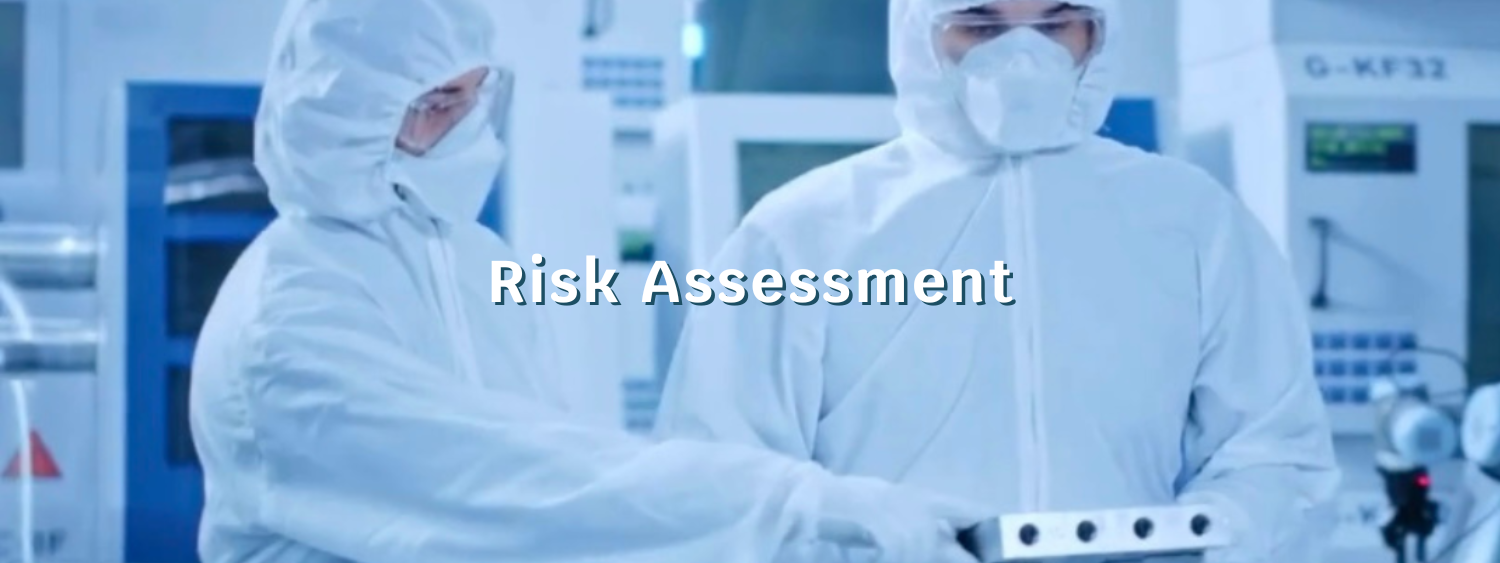 Risk Assessment - Hanley